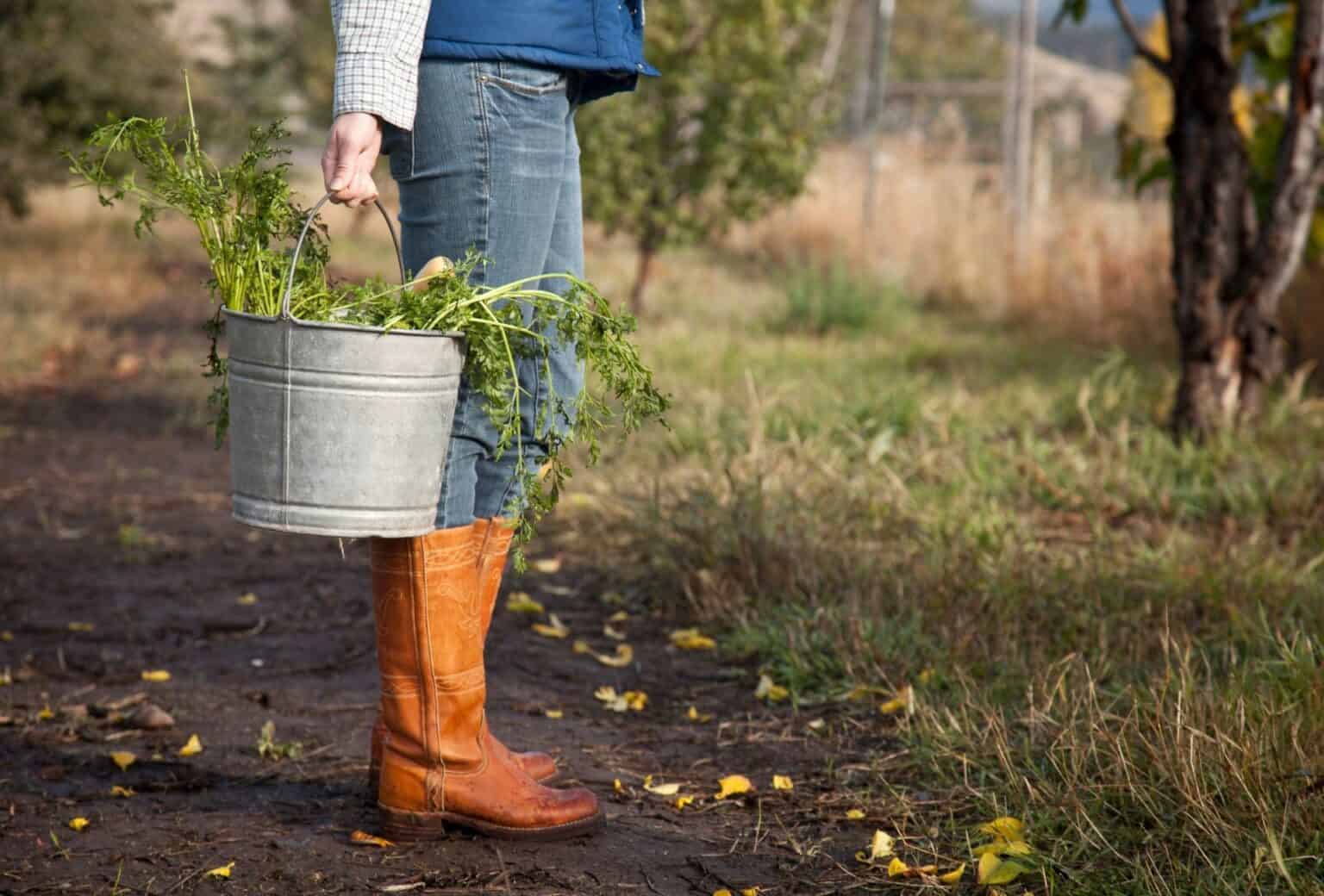 A Definitive Guide to Farmcore | My Cottagecore