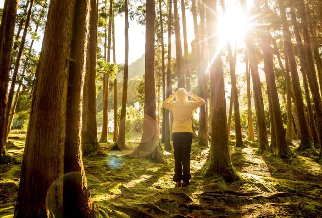 A Definitive Guide to Naturecore | My Cottagecore