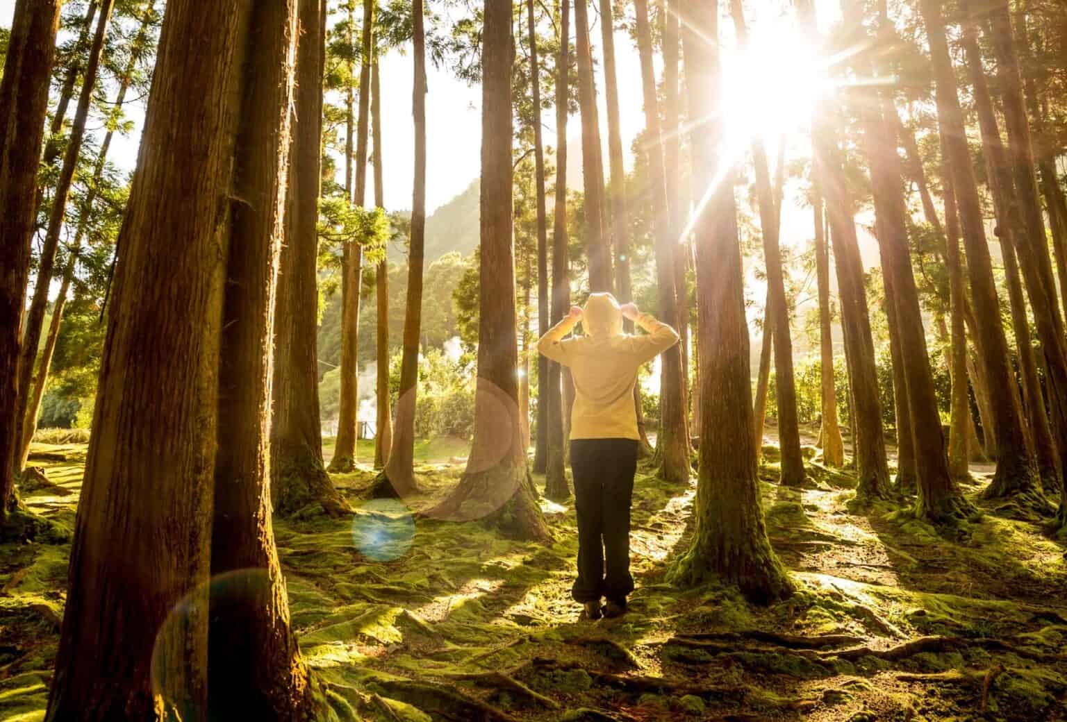 A Definitive Guide to Naturecore | My Cottagecore