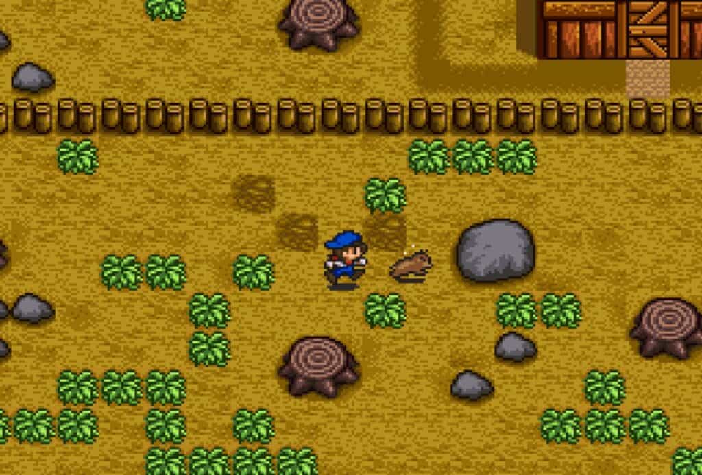 21 Cozy Cottagecore Games You Need to Play | My Cottagecore