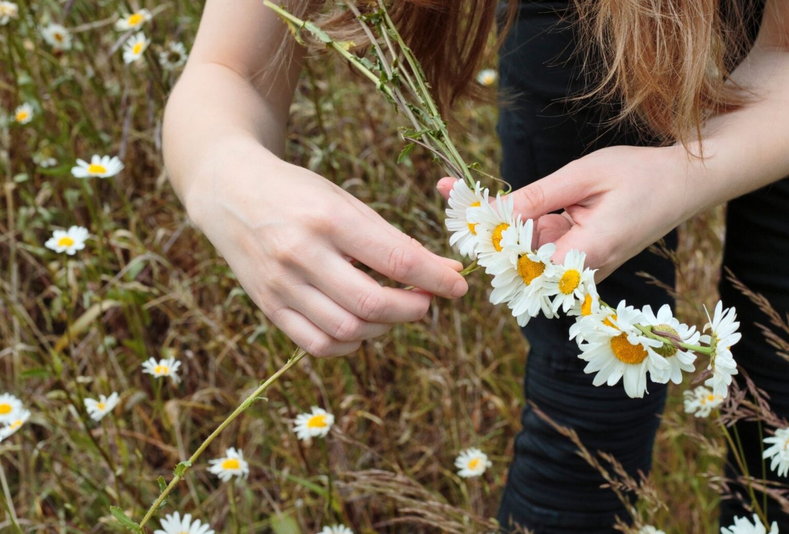 How to Make a Simple Flower Crown Without Wire | My Cottagecore